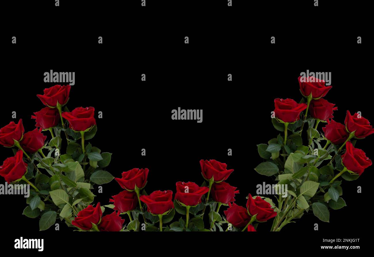 Funeral invitation with red roses. Can also be used as a banner Stock ...
