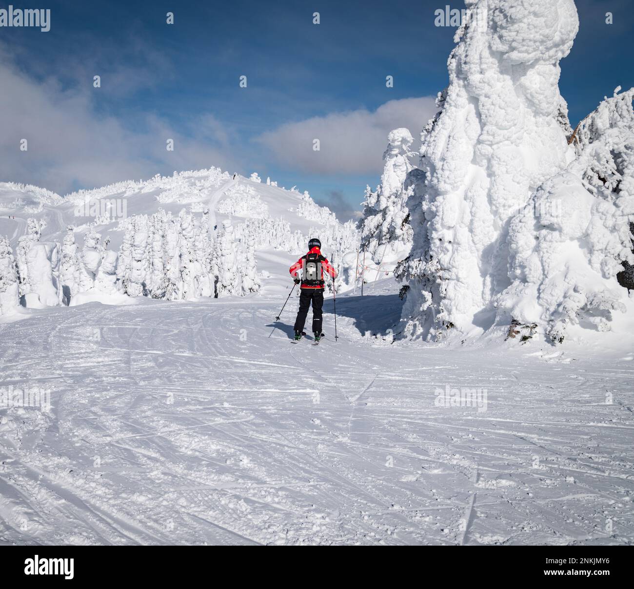 A ski patroller starts out on a trail from the Crystal lift at the "Top ...