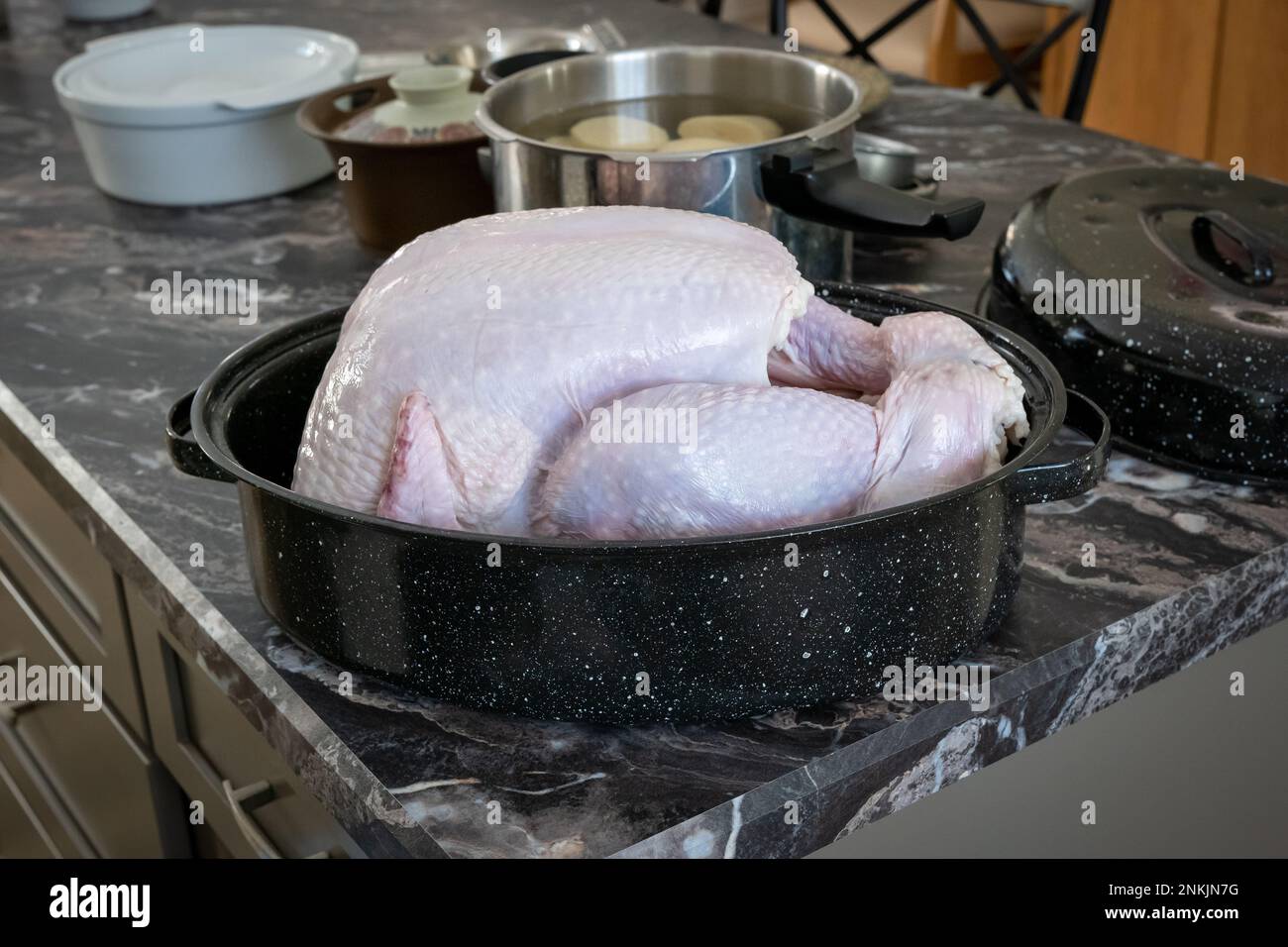 Turkey carcass in roasting pot on kitchen counter with other pots, in preparation for cooking ...