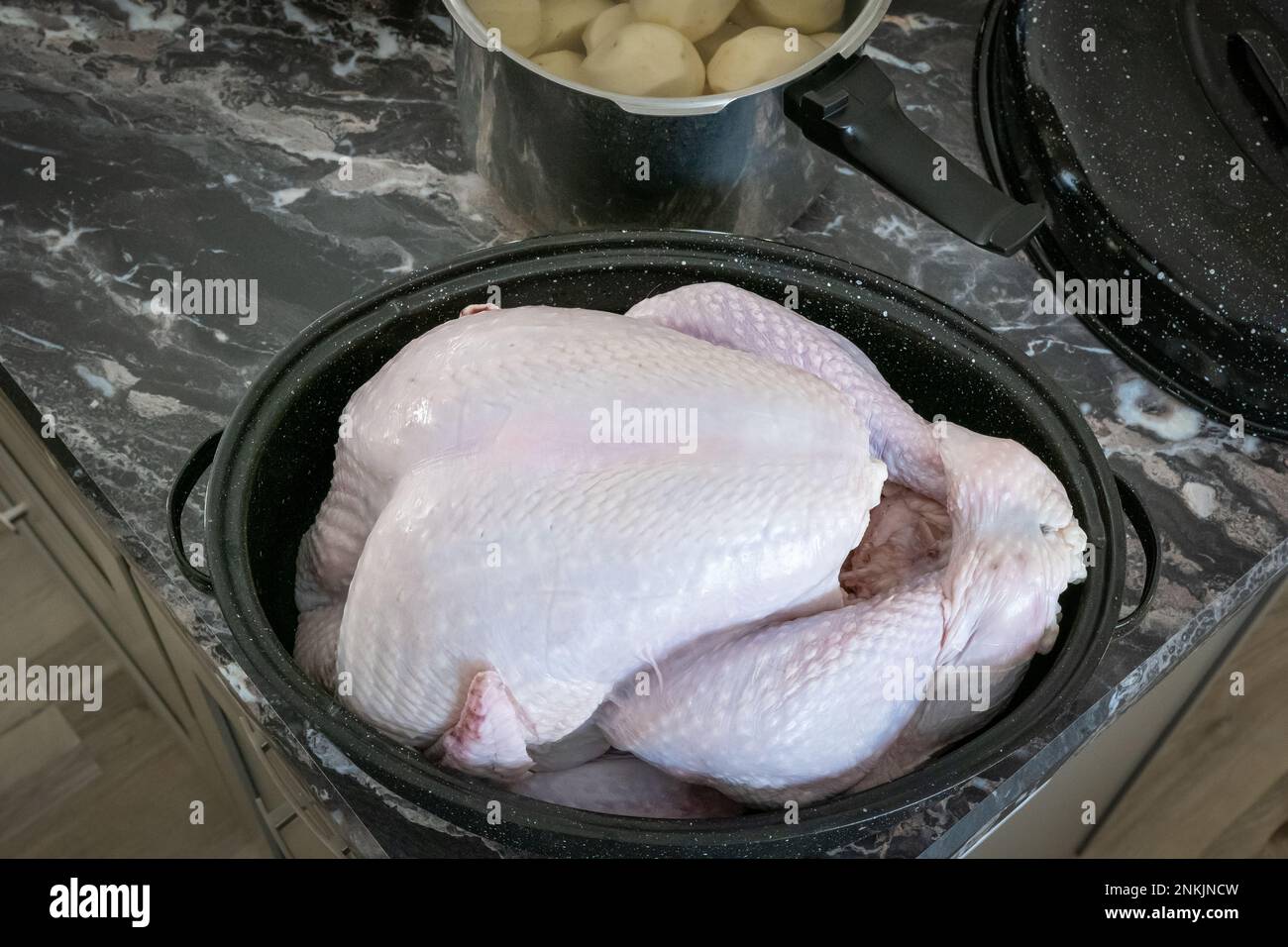 Turkey carcass in roasting pot on kitchen counter in preparation for ...