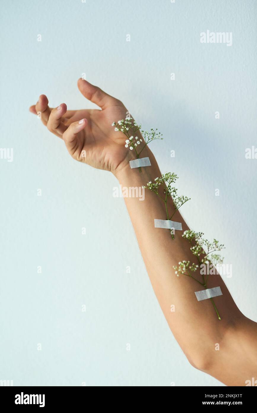 Life just like nature is so fragile. Studio shot of plants taped to an ...