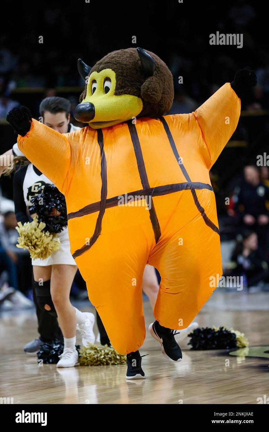 Boulder, CO, USA. 23rd Feb, 2023. The Colorado Buffalo mascot Chip the ...