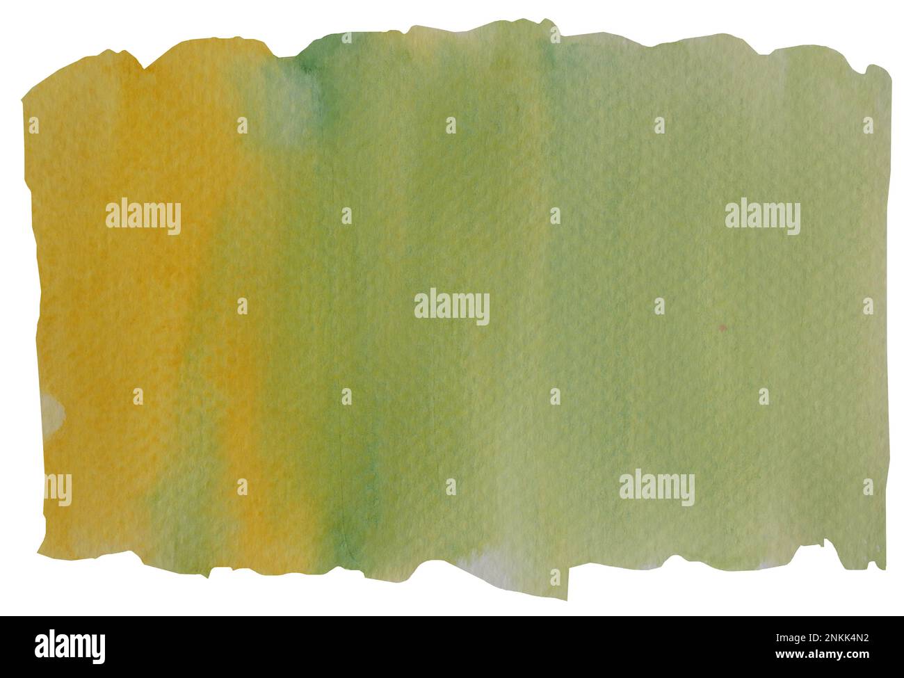 Abstract background and texture pattern ellow and green color flow ...