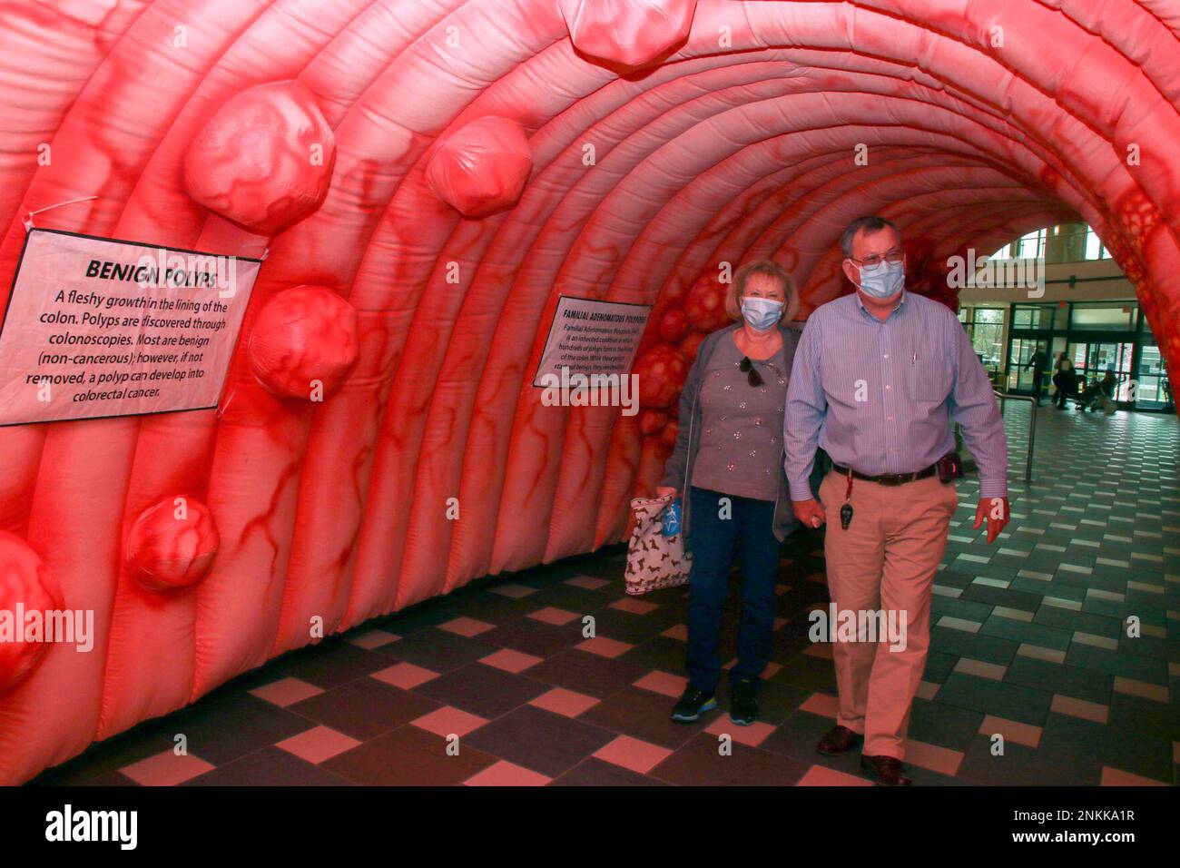 An interactive, inflatable colon was on display at Baptist Health ...