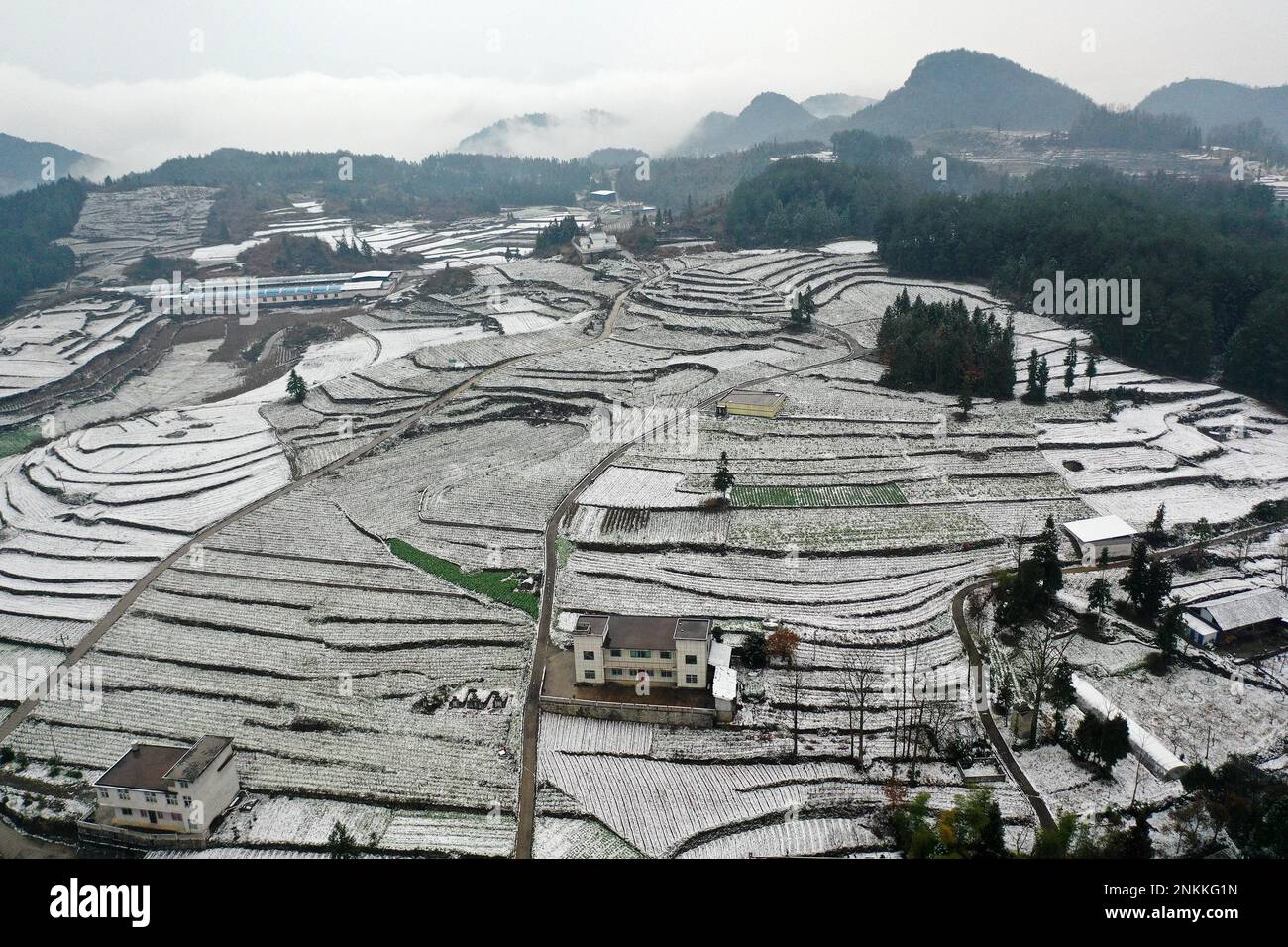 Aerial photo shows the snow scenery of the fileds and dwelling houses ...