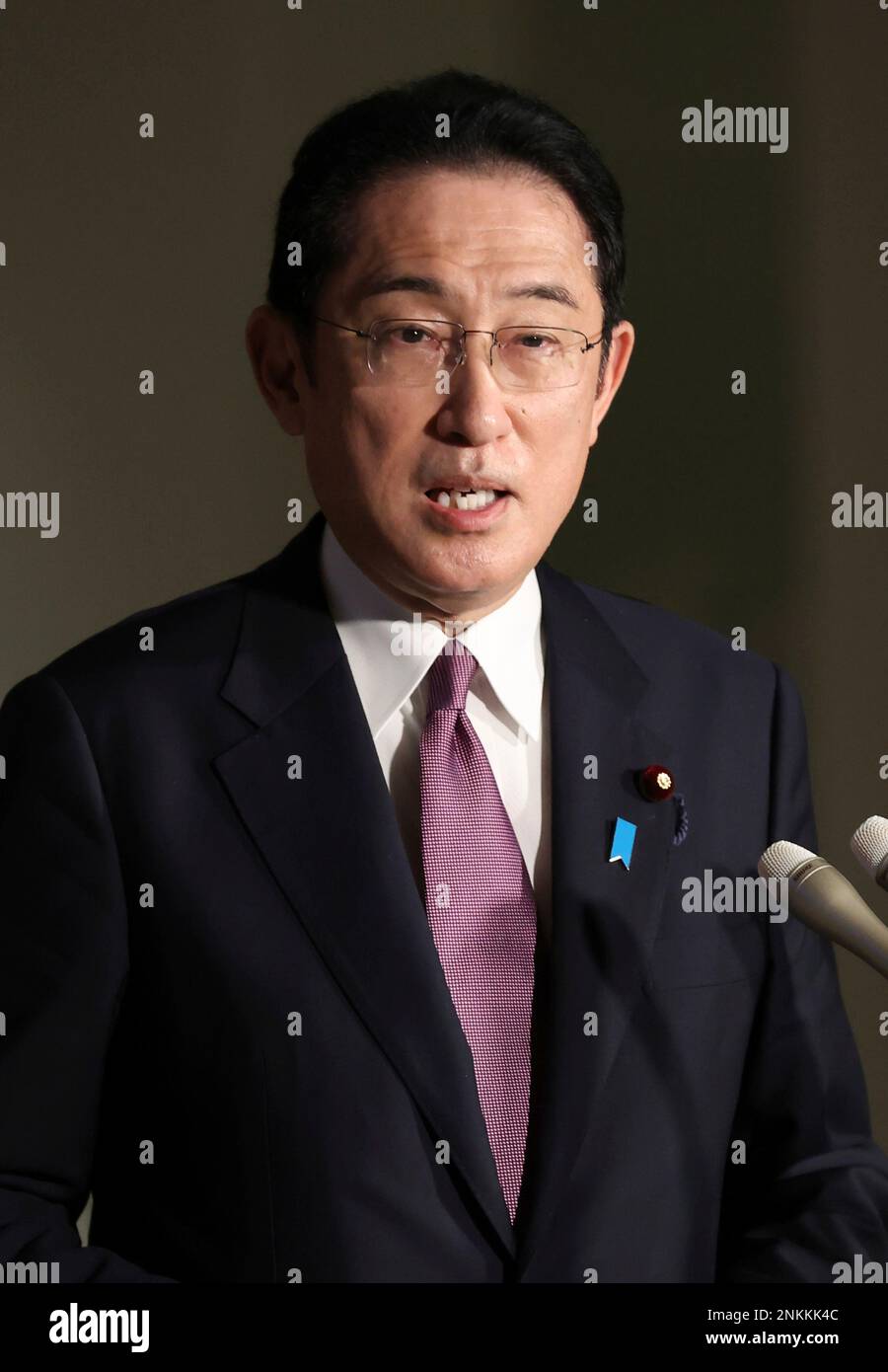 Prime Minister Fumio Kishida speaks about the U.S. ban on imports of ...