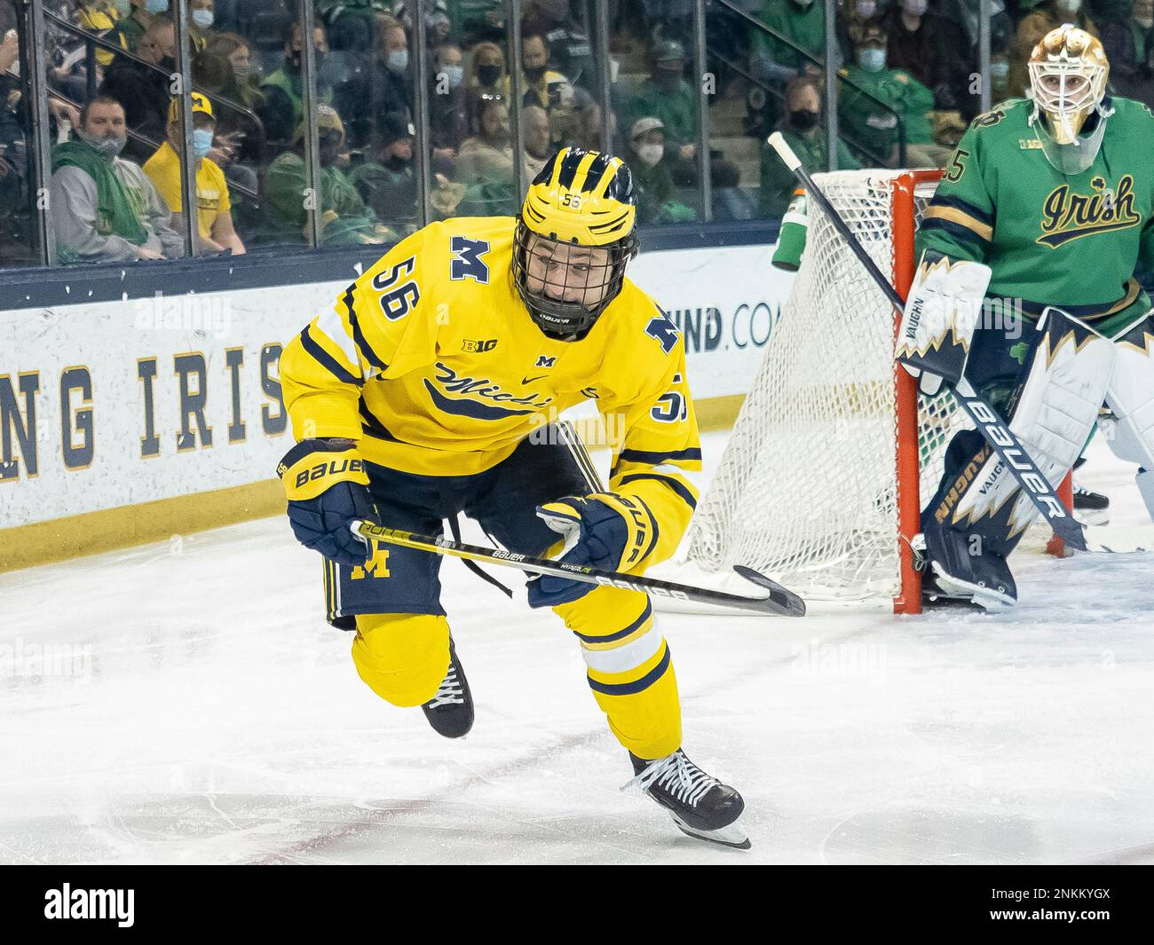 SOUTH BEND, IN - FEBRUARY 26: Michigan Wolverines forward Dylan Duke ...