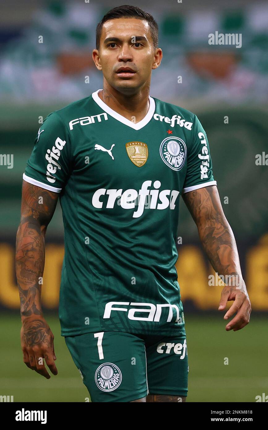 SP - Sao Paulo - 03/06/2022 - PAULISTA 2022, PALMEIRAS X GUARANI ...