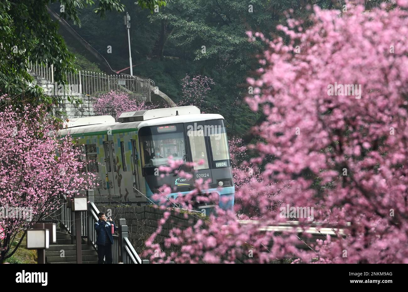 **CHINESE MAINLAND, HONG KONG, MACAU AND TAIWAN OUT** A monorail train ...