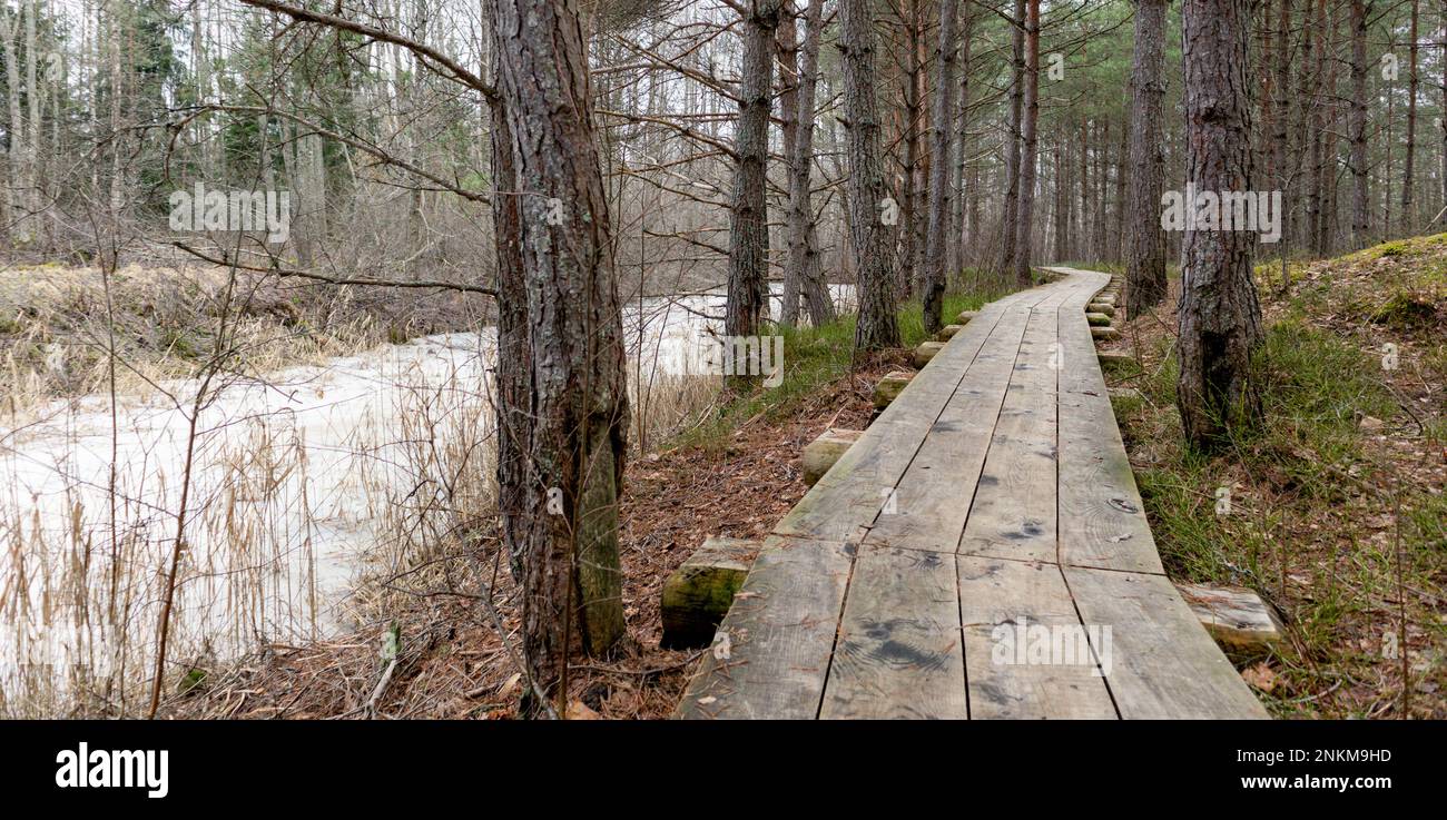 Nature view of the marsh with a wooden walking path winding through the ...