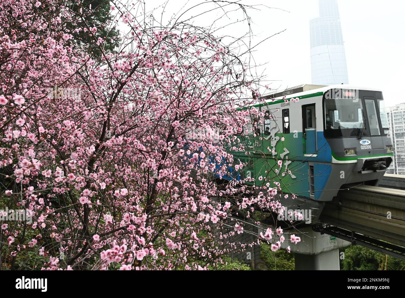 **CHINESE MAINLAND, HONG KONG, MACAU AND TAIWAN OUT** A monorail train ...