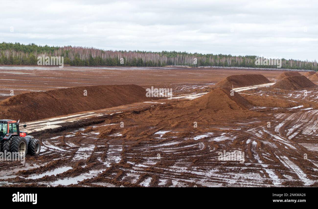 Nature view of a bog with a peat digging site and a tractor Stock Photo ...