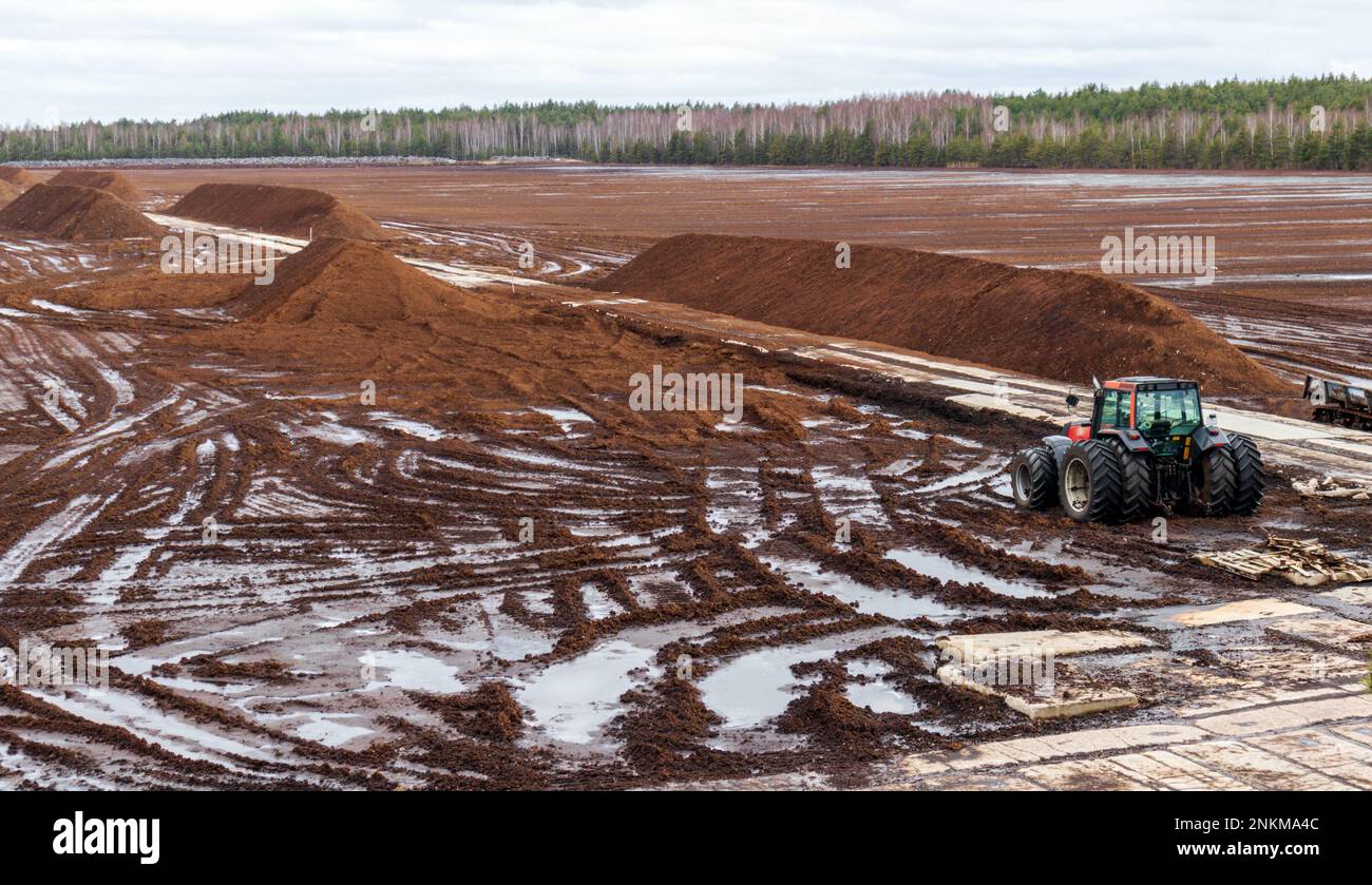 Nature view of a bog with a peat digging site and a tractor Stock Photo ...