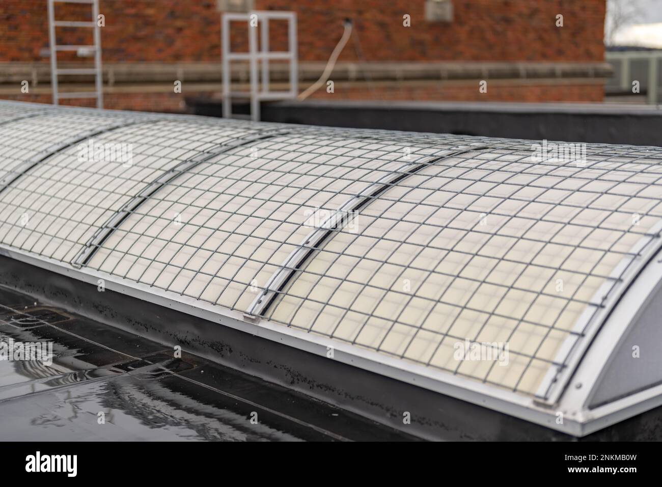 Barrel vault skylight screen fall protection guard installed on a ...