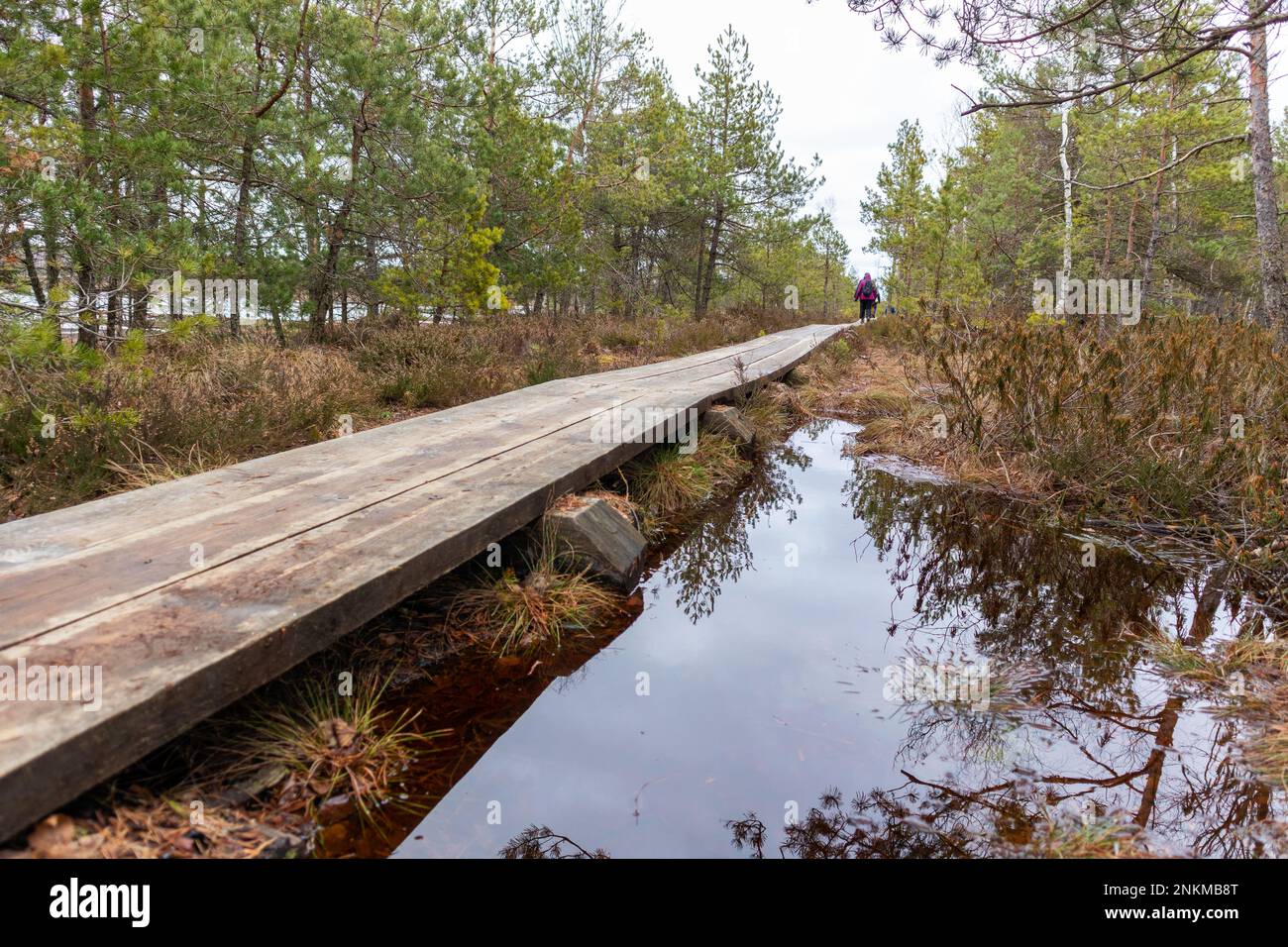 Bridge path plank trees winding walk hi-res stock photography and ...