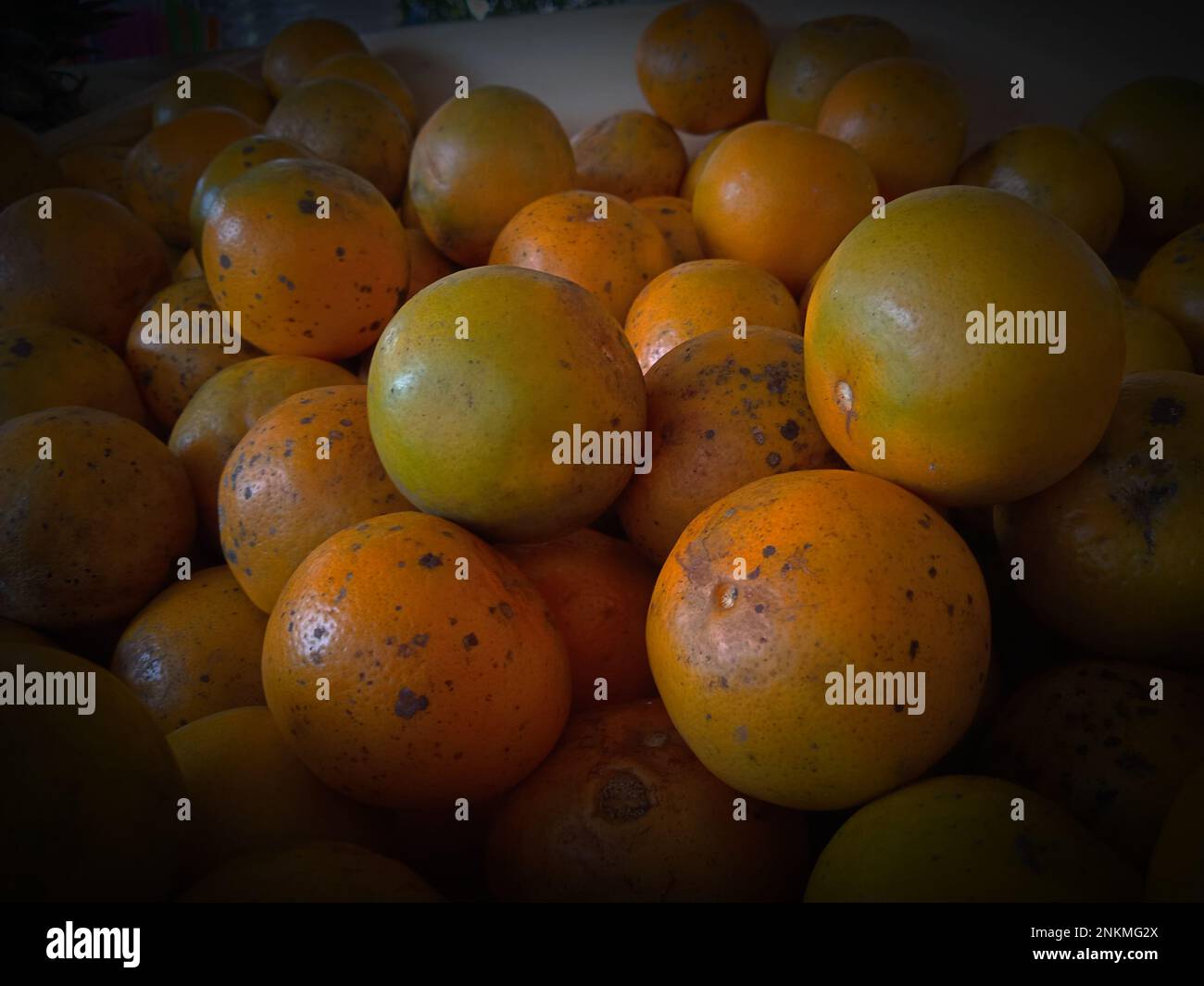 Tangerine forest hi-res stock photography and images - Alamy