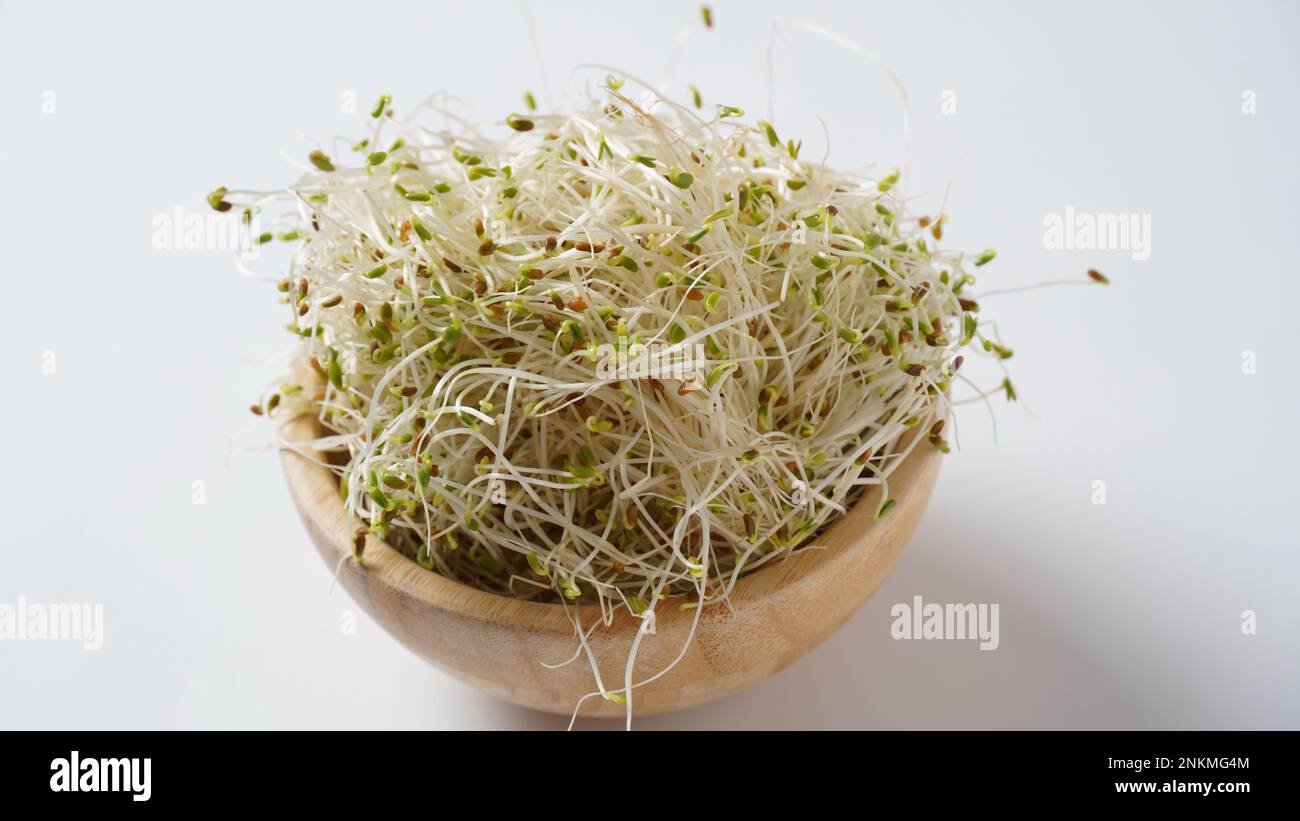 Organic alfalfa sprouts plant healthy food in wooden bowl Stock Photo ...