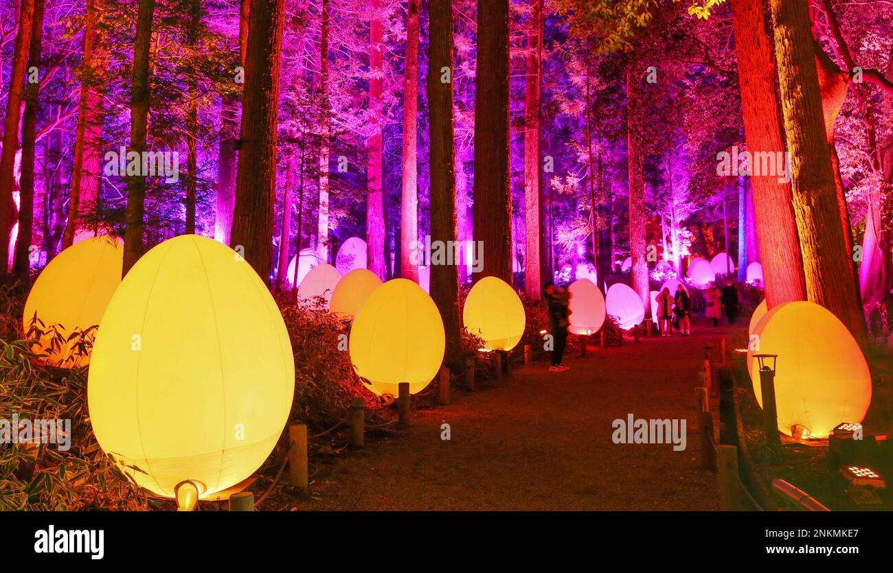 Egg-shaped bobjects emit different colors of light as they are pushed ...