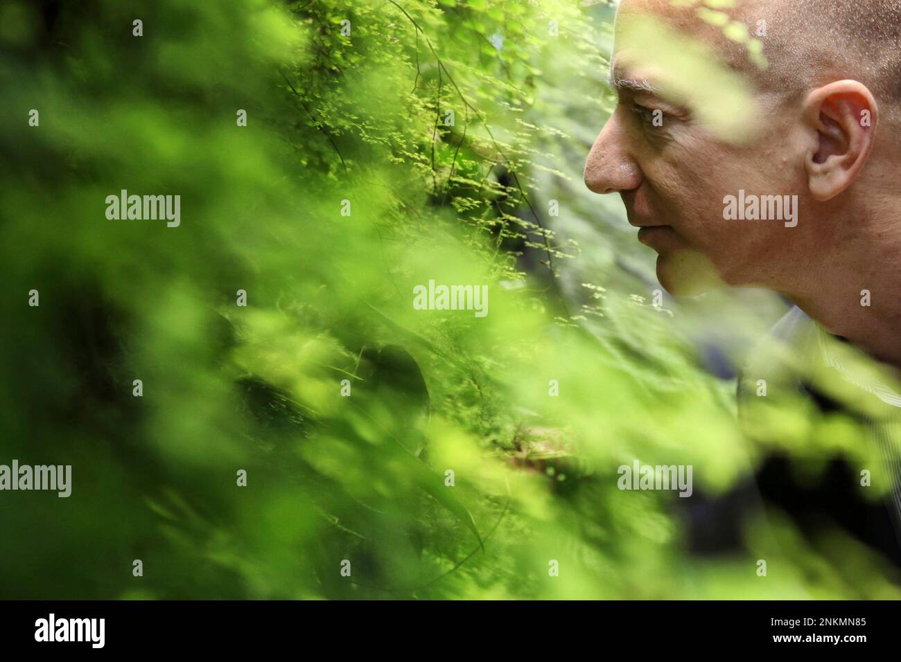 Amazon CEO Jeff Bezos gets up close and personal with the Living Wall ...