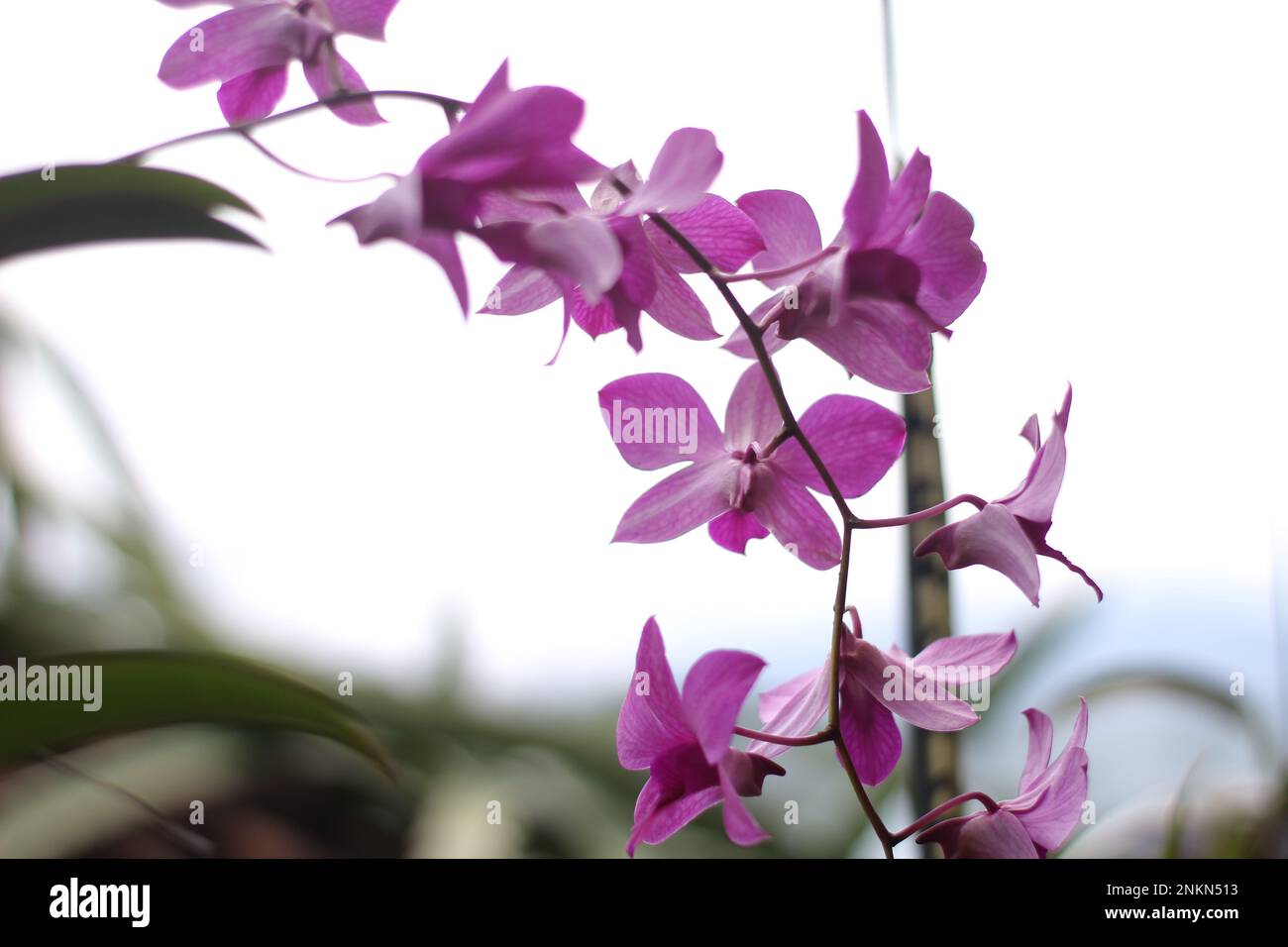 Beautifulphoto hi-res stock photography and images - Alamy