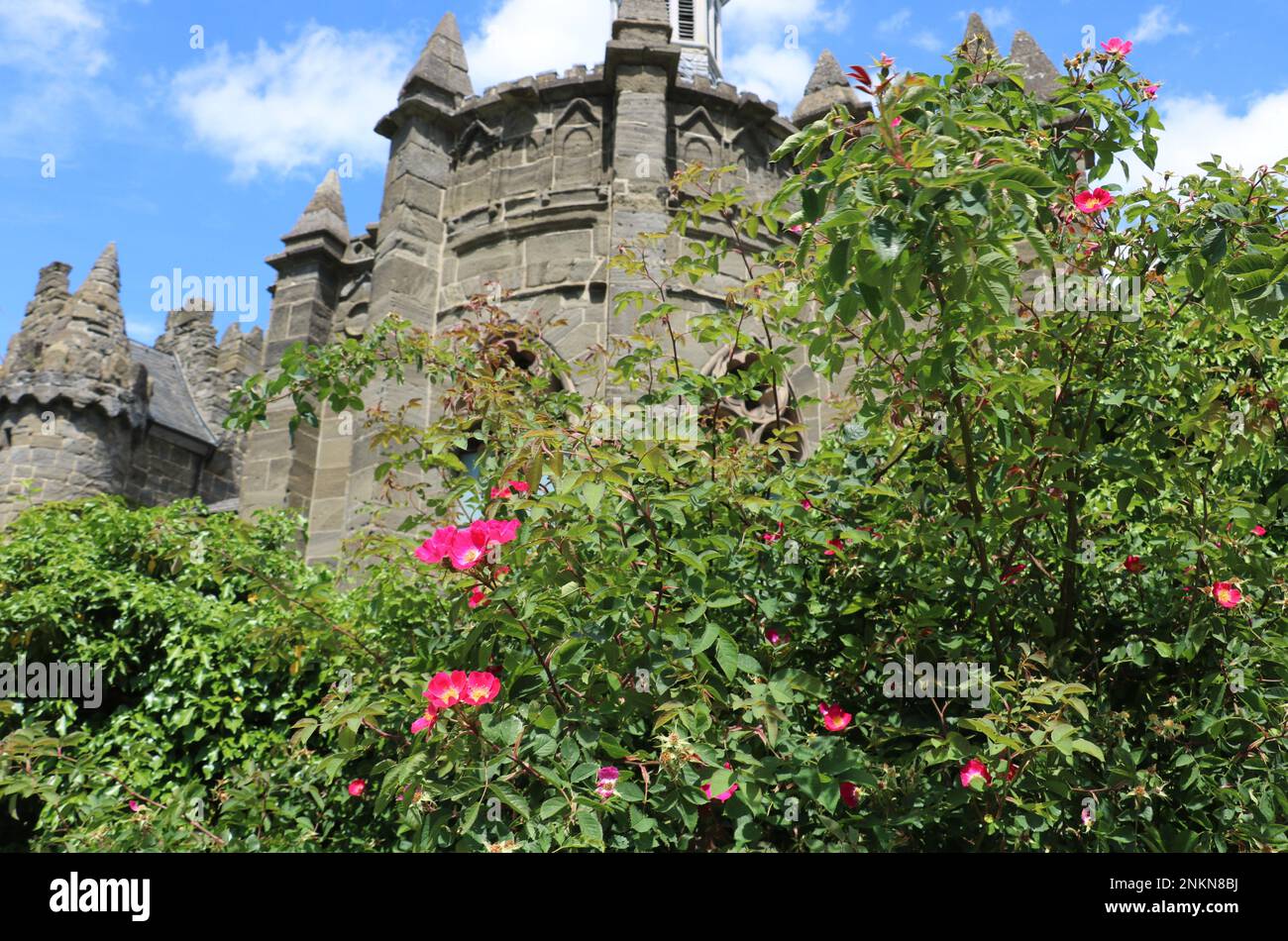 Lowenburg castle hi-res stock photography and images - Alamy