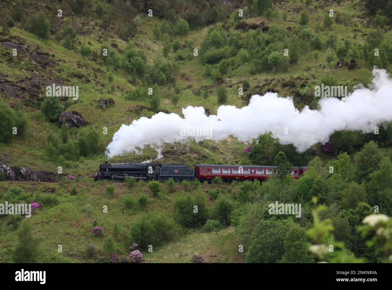 The Jacobite Steam Train Stock Photo - Alamy