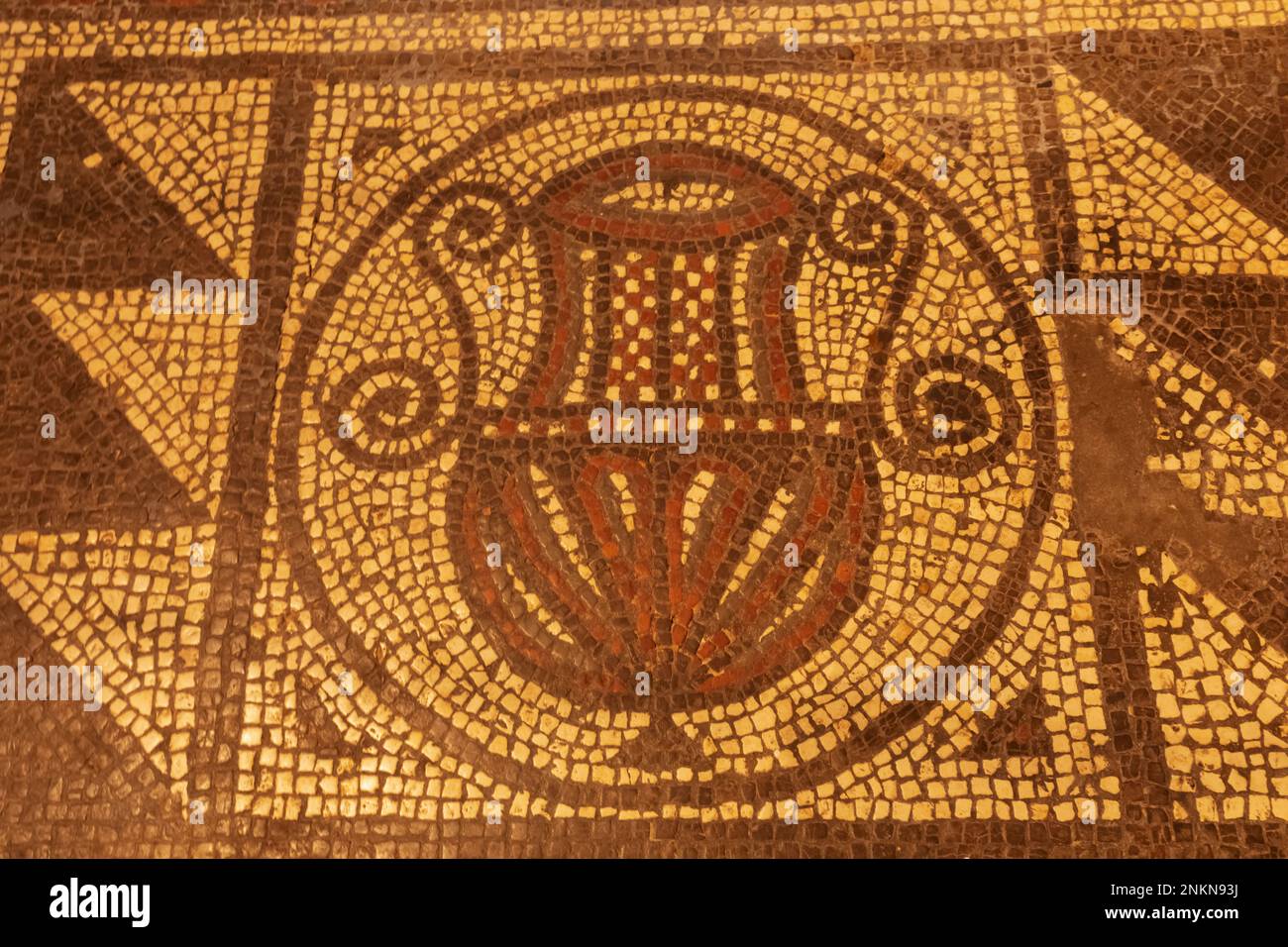 England, Dorset, Dorchester, Dorset Museum, Interior of Victorian Hall ...