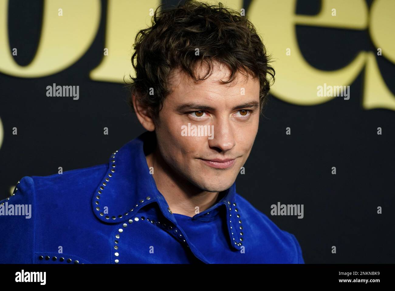 Josh Whitehouse arrives at the premiere of "Daisy Jones and The Six ...