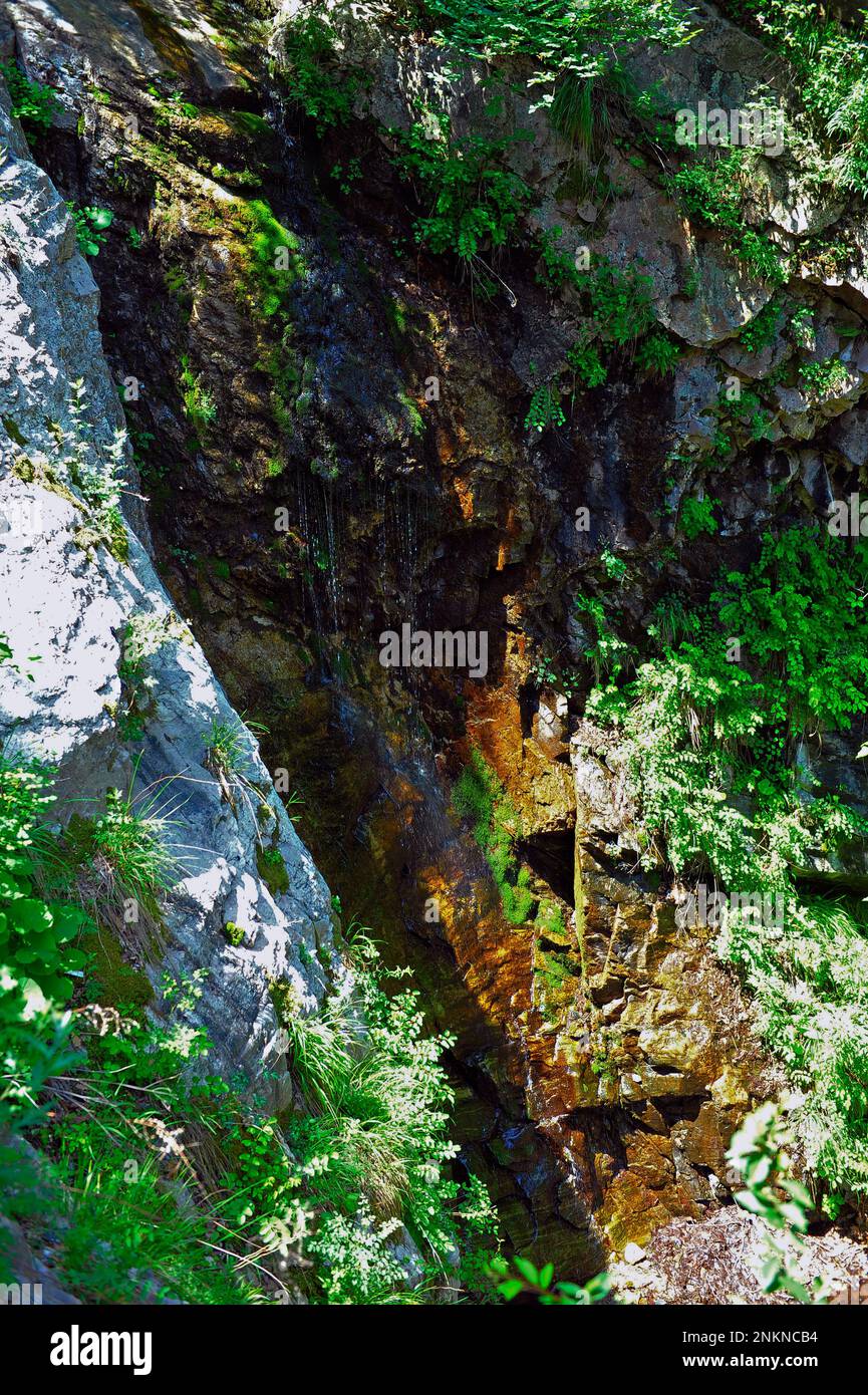 Mountain spring cascade Stock Photo - Alamy