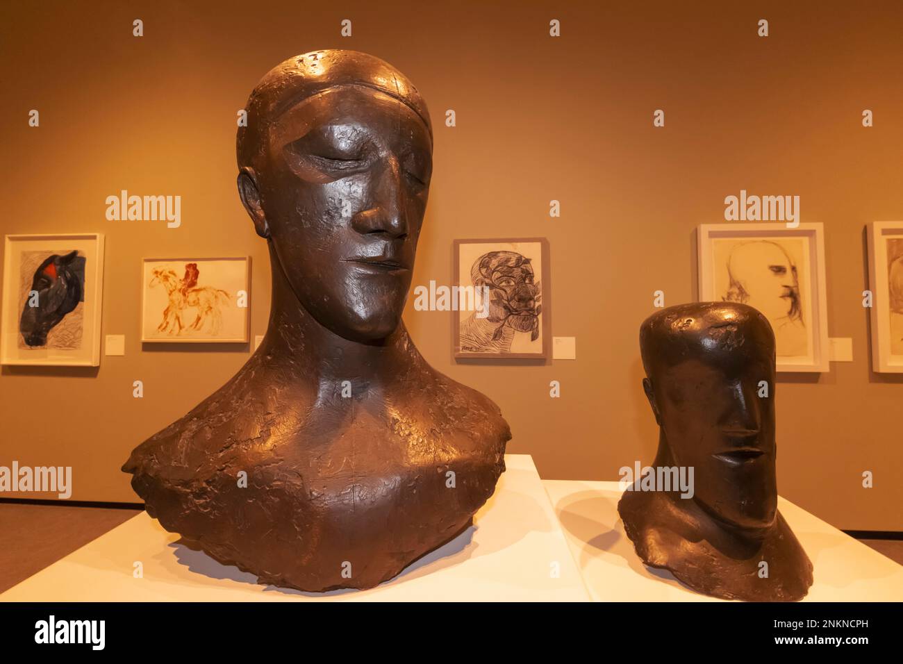 England, Dorset, Dorchester, Dorset Museum, Display of Bronze Sculpture ...