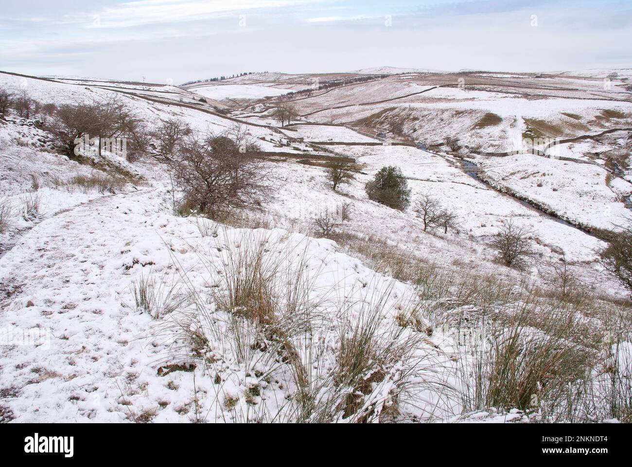 Snowy winter scenery,looking down on the merger of two small becks ...