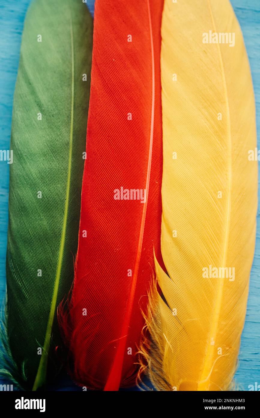 Three colored feathers Stock Photo - Alamy