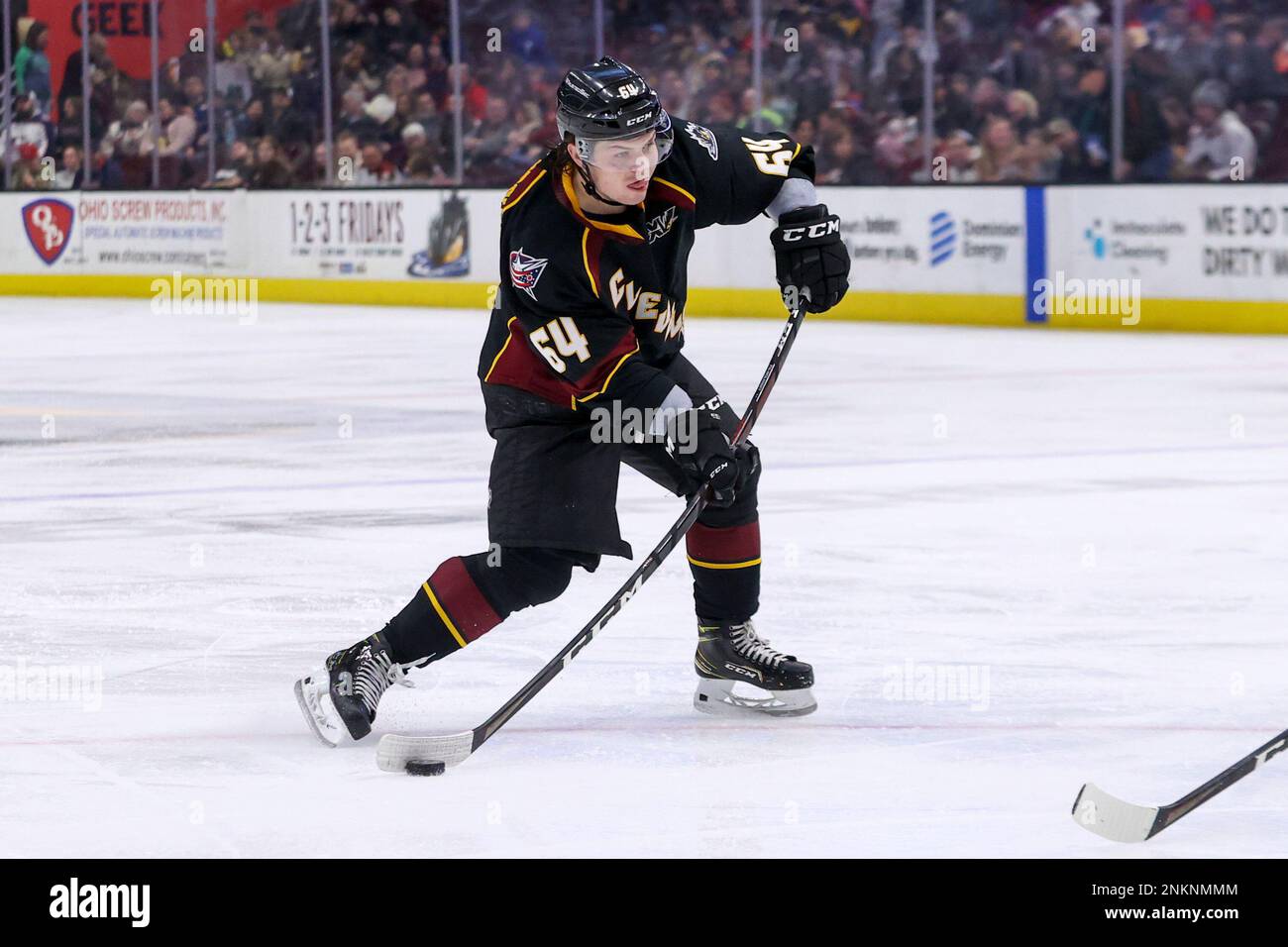 CLEVELAND, OH - FEBRUARY 25: Cleveland Monsters right wing Trey Fix ...