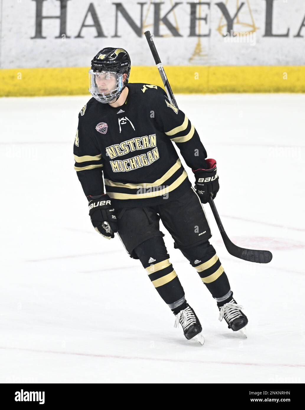 Western Michigan Broncos forward Jason Polin (14) celebrates after ...