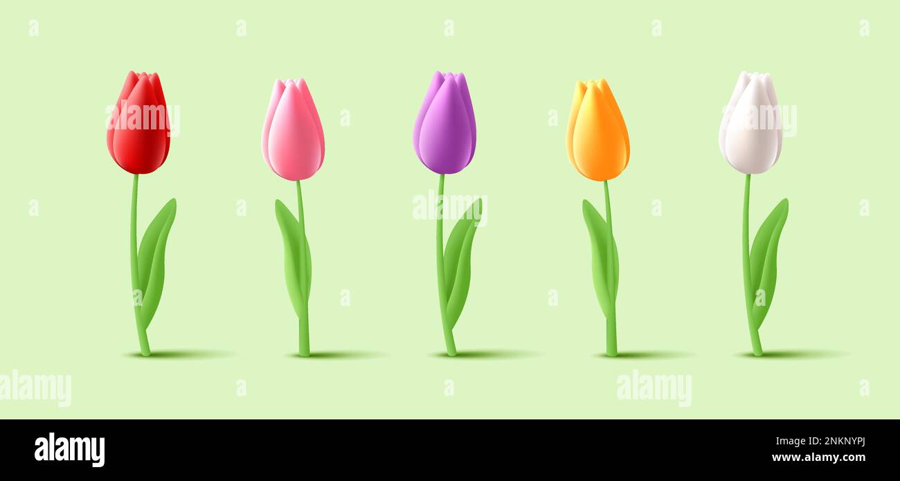 Tulip flowers on stem with leaves 3d illustration set with different ...