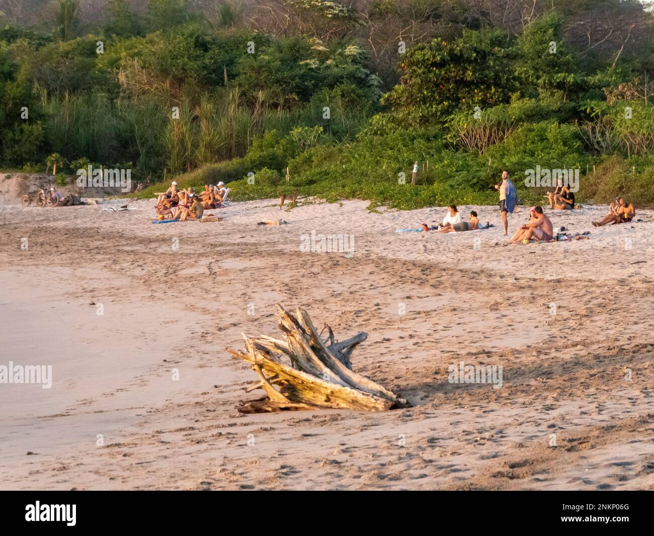 Groups of people and friends relax on the beach to watch the sunset in ...