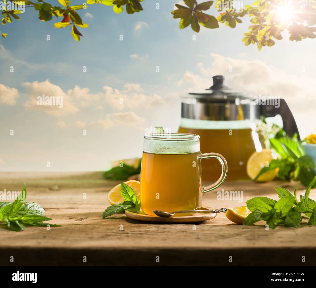 Indian mint plant hi-res stock photography and images - Alamy