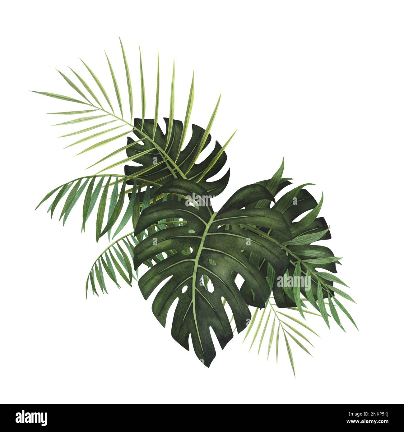 Composition tropic leaf Monstera and palm branch watercolor isolated on ...