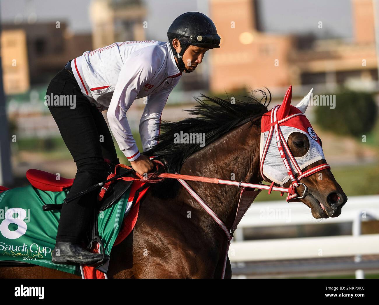The Saudi Cup contender Panthalassa exercises in the morning track work ...