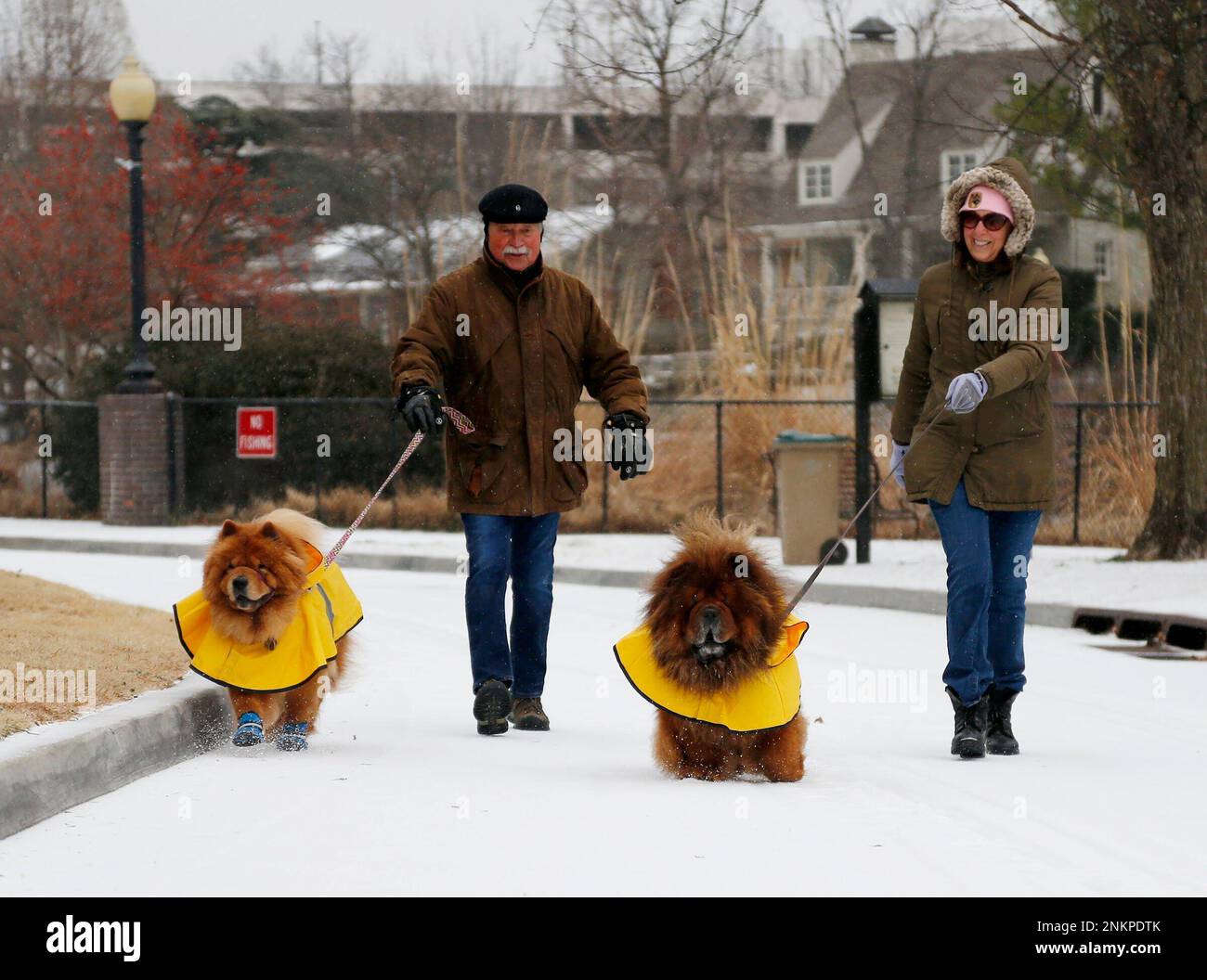 John and Ann Wieczorek with Jing Jong and Kong their Chow Chows walk in ...