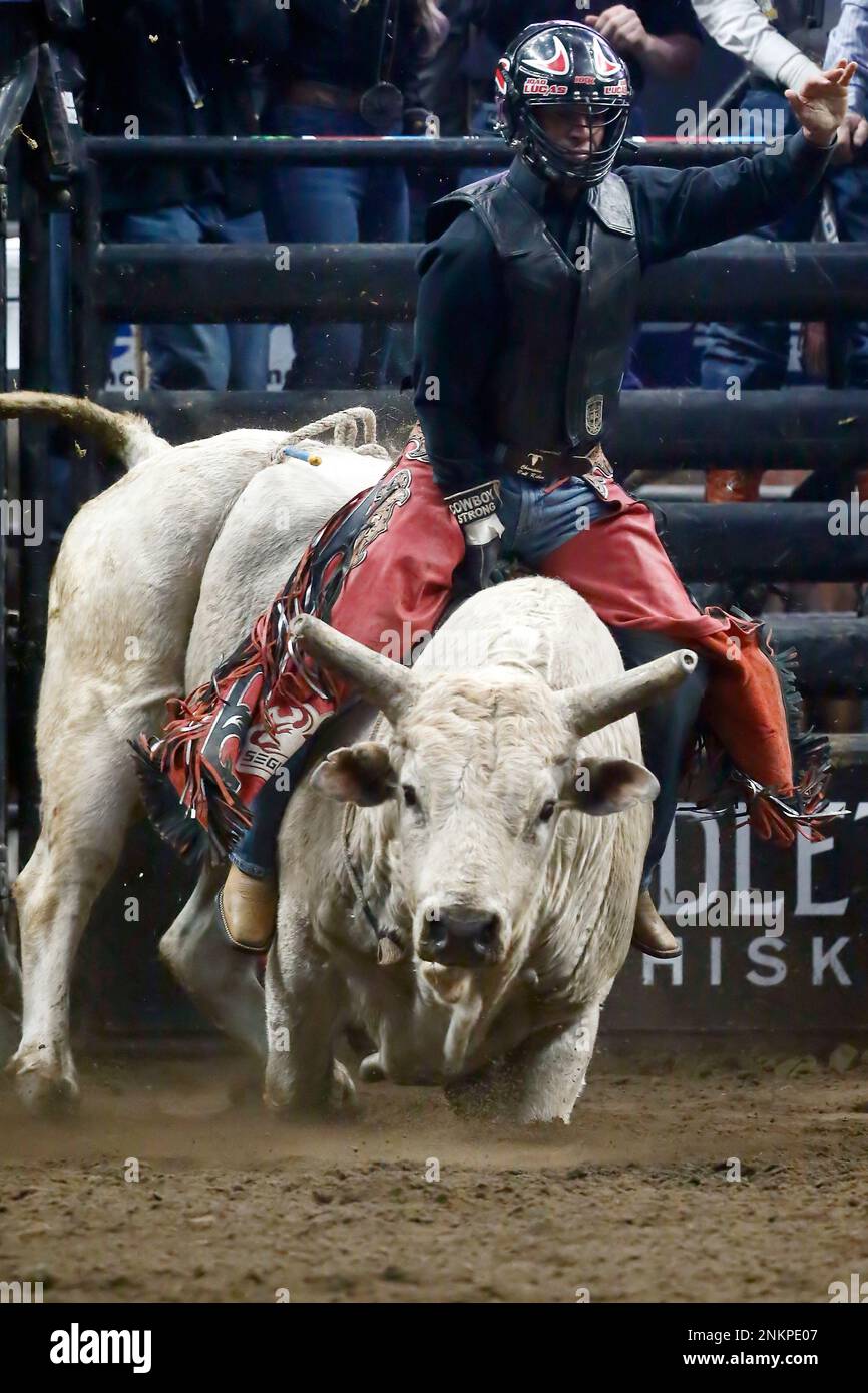 LOS ANGELES, CA - FEBRUARY 22: Joao Henrique Lucas rides bull Montana ...