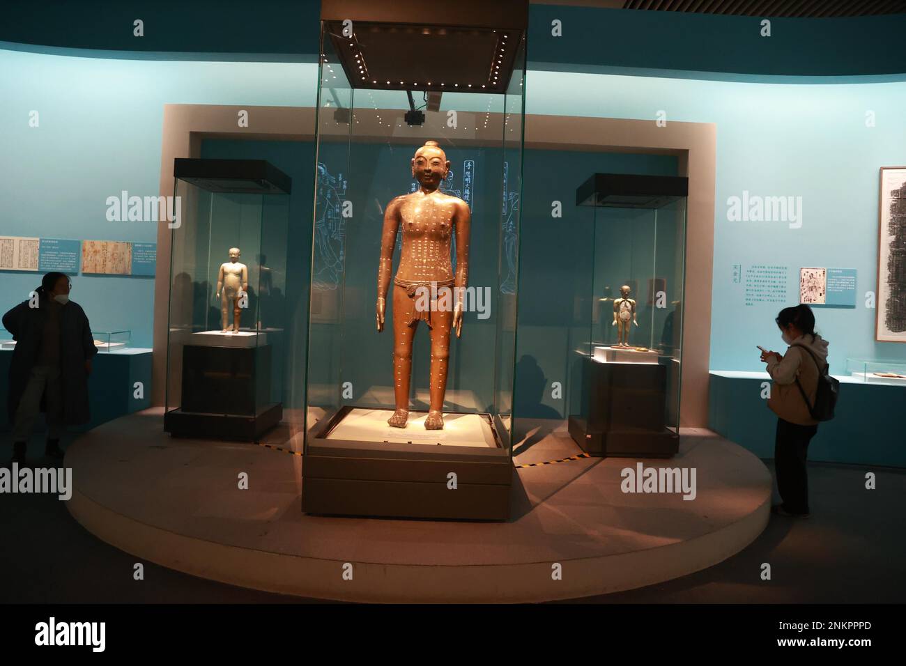 People visit the Traditional Chinese Medicine Culture Exhibition in ...