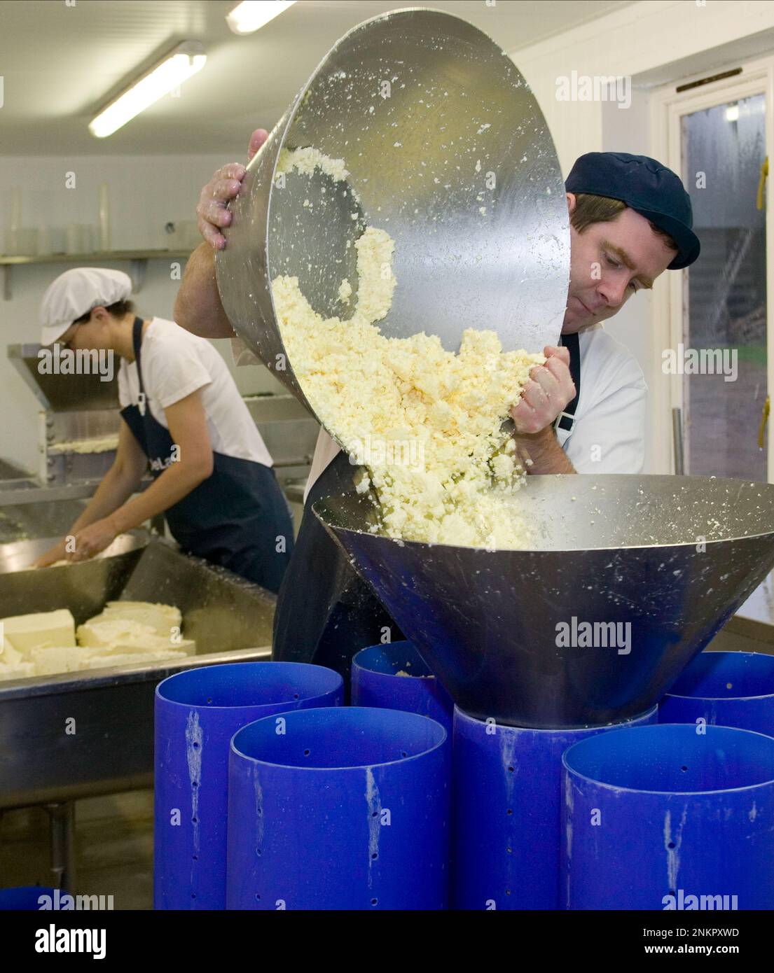 Stichelton Raw Milk Blue Cheese production Stock Photo - Alamy