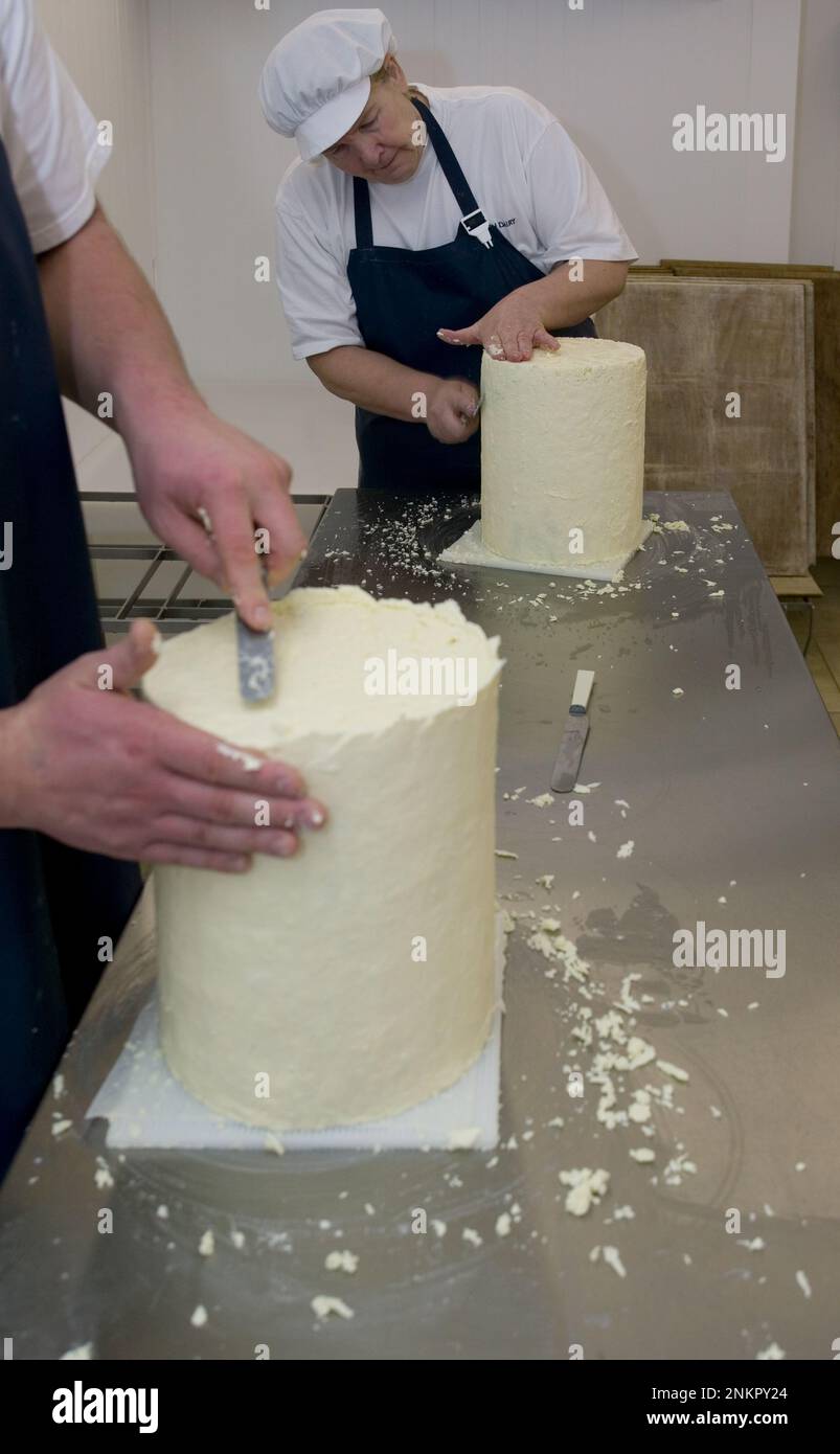 Stichelton Raw Milk Blue Cheese production Stock Photo - Alamy