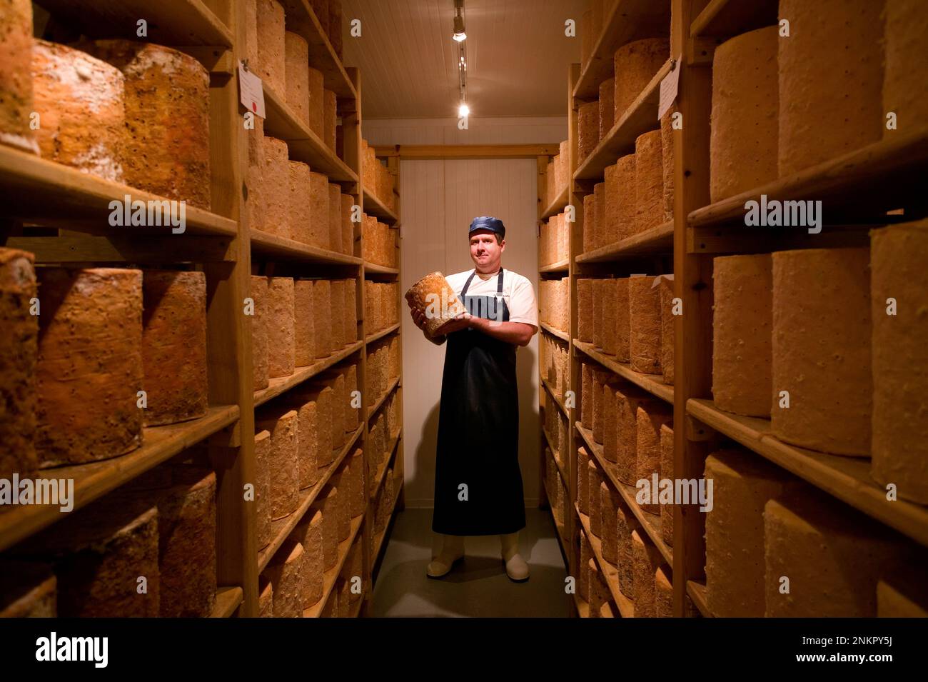 Stichelton Raw Milk Blue Cheese production Stock Photo - Alamy