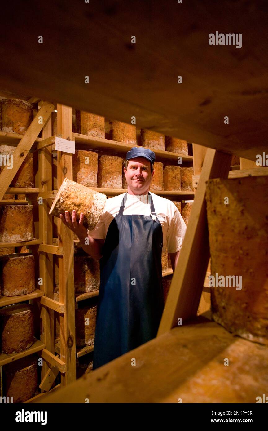 Stichelton Raw Milk Blue Cheese production Stock Photo - Alamy