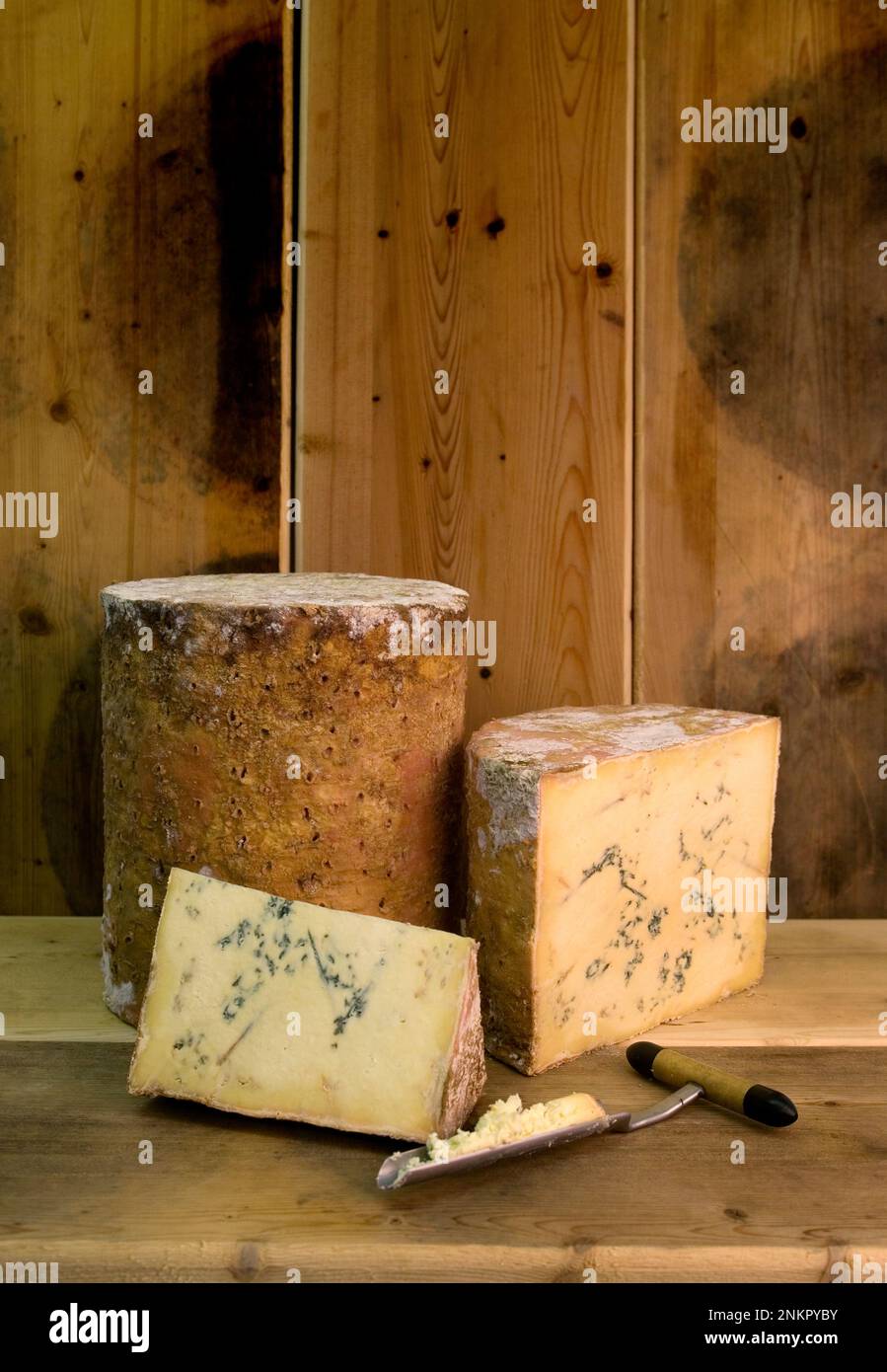 Stichelton Raw Milk Blue Cheese production Stock Photo - Alamy