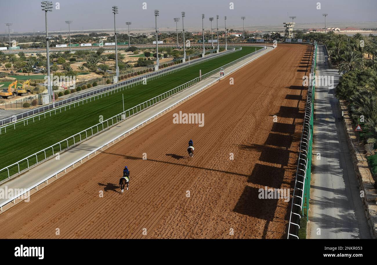 The Neom Turf Cup runners White Moonlight (L) and Dubai Future exercise ...