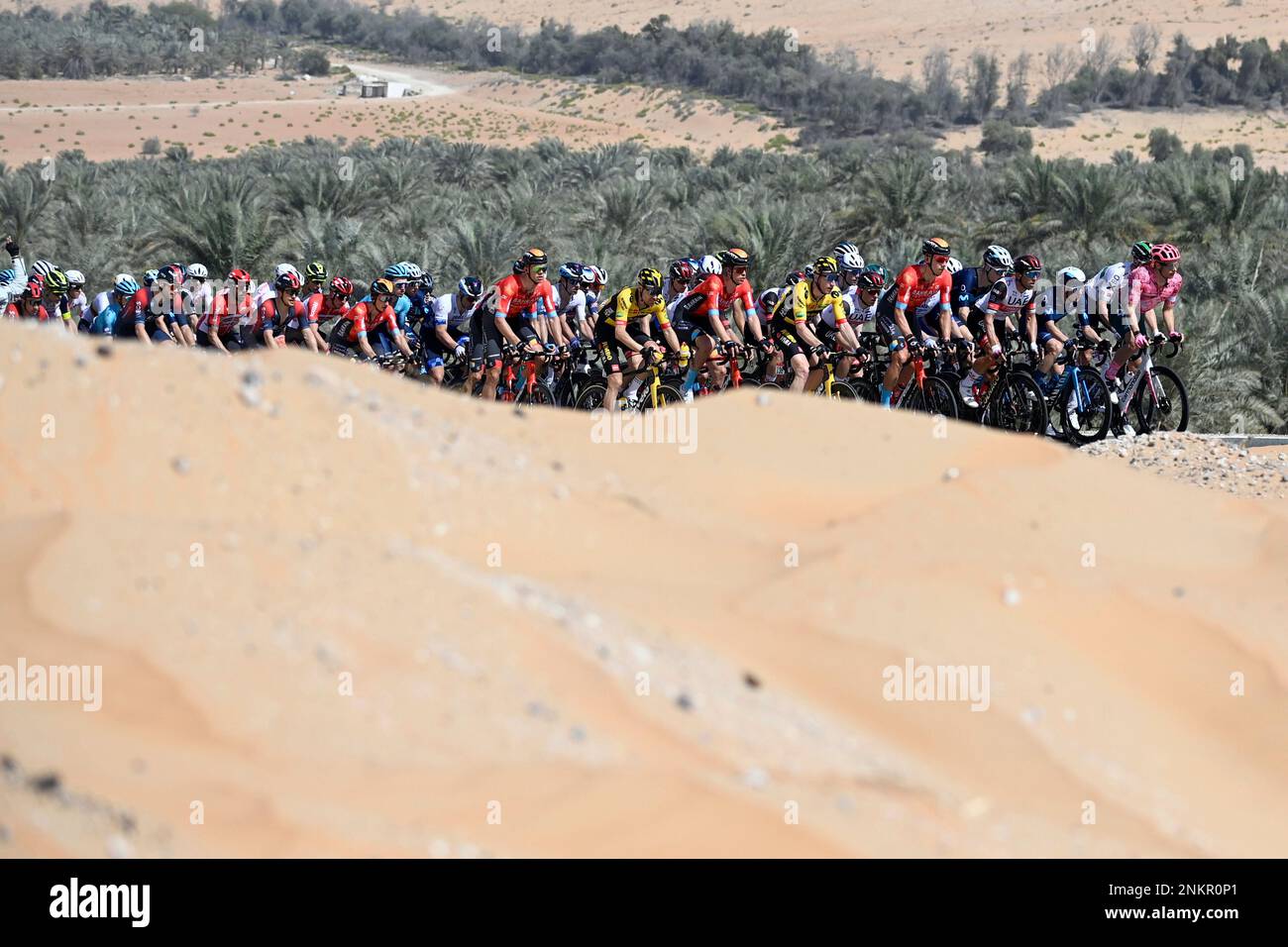 Cyclists pedal during the first stage of the UAE Cycling Tour in ...