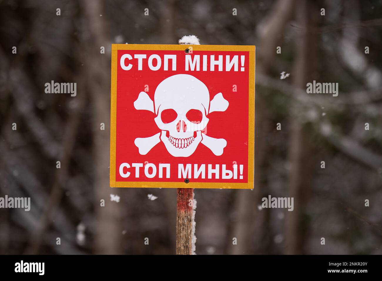 Land mine boundary markers in Mriia where the Halo Trust will be ...